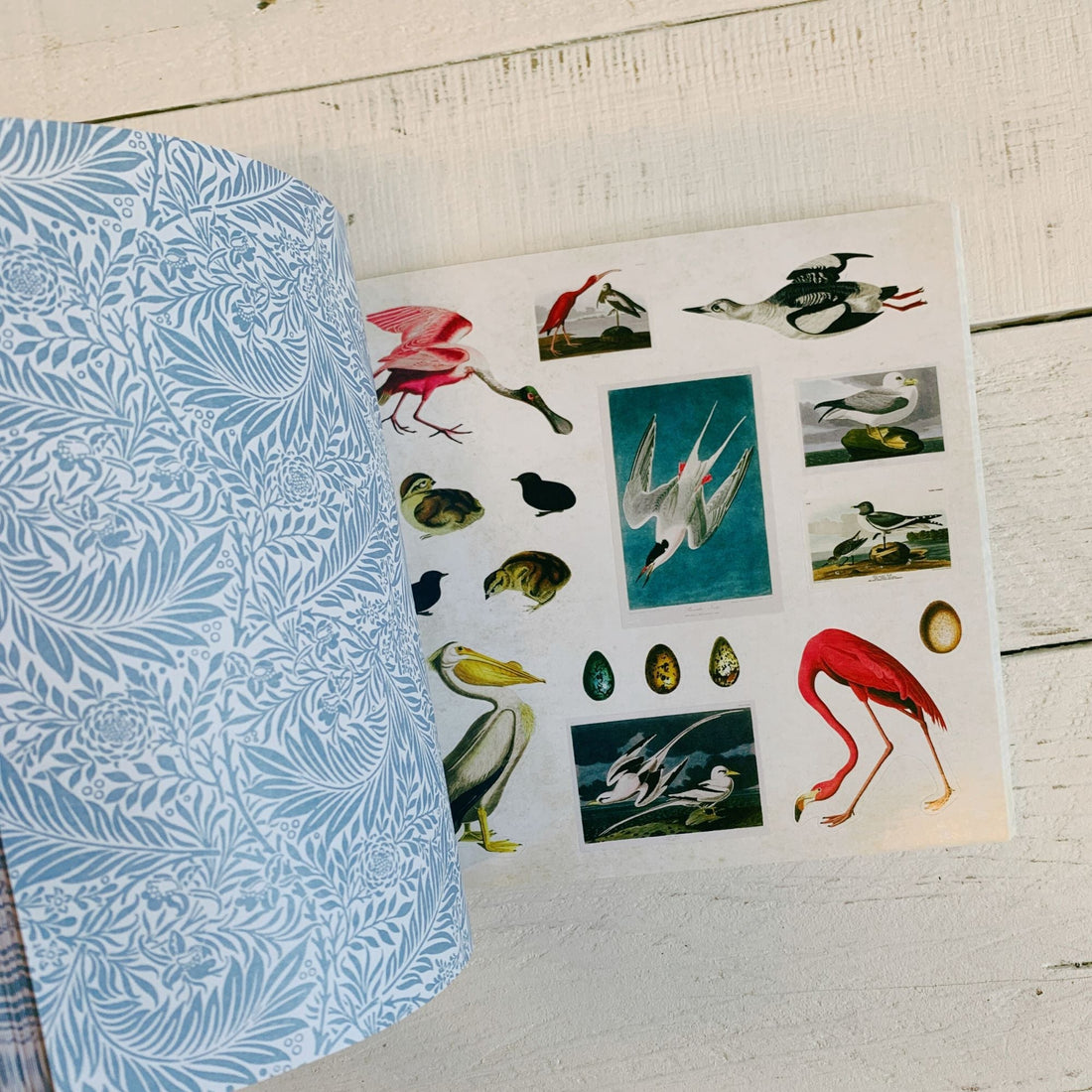 Bibliophilia Ephemera Sticker Book | An Enchanting Book Lovers' Sticke ...