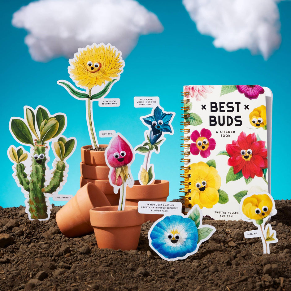 Adult Sticker Books – The Bullish Store
