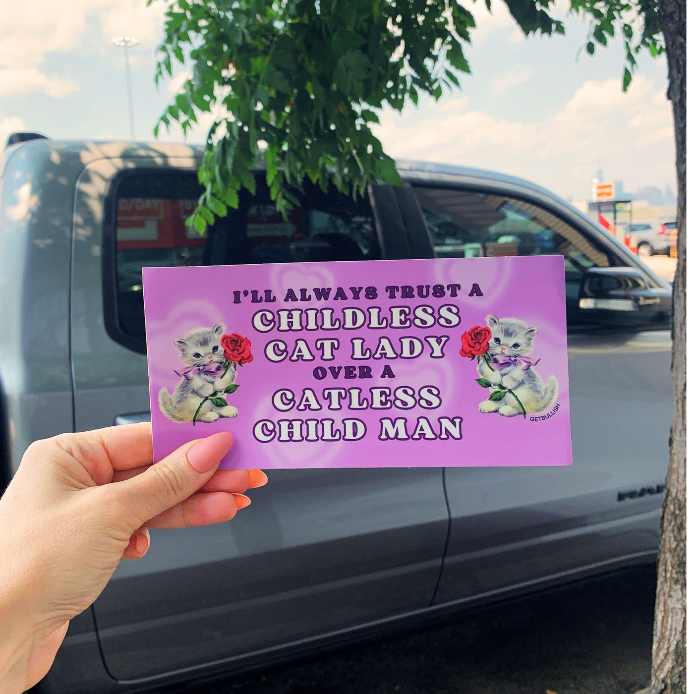 Childless Cat Lady Over a Catless Child Man Bumper Vinyl Decal – The ...