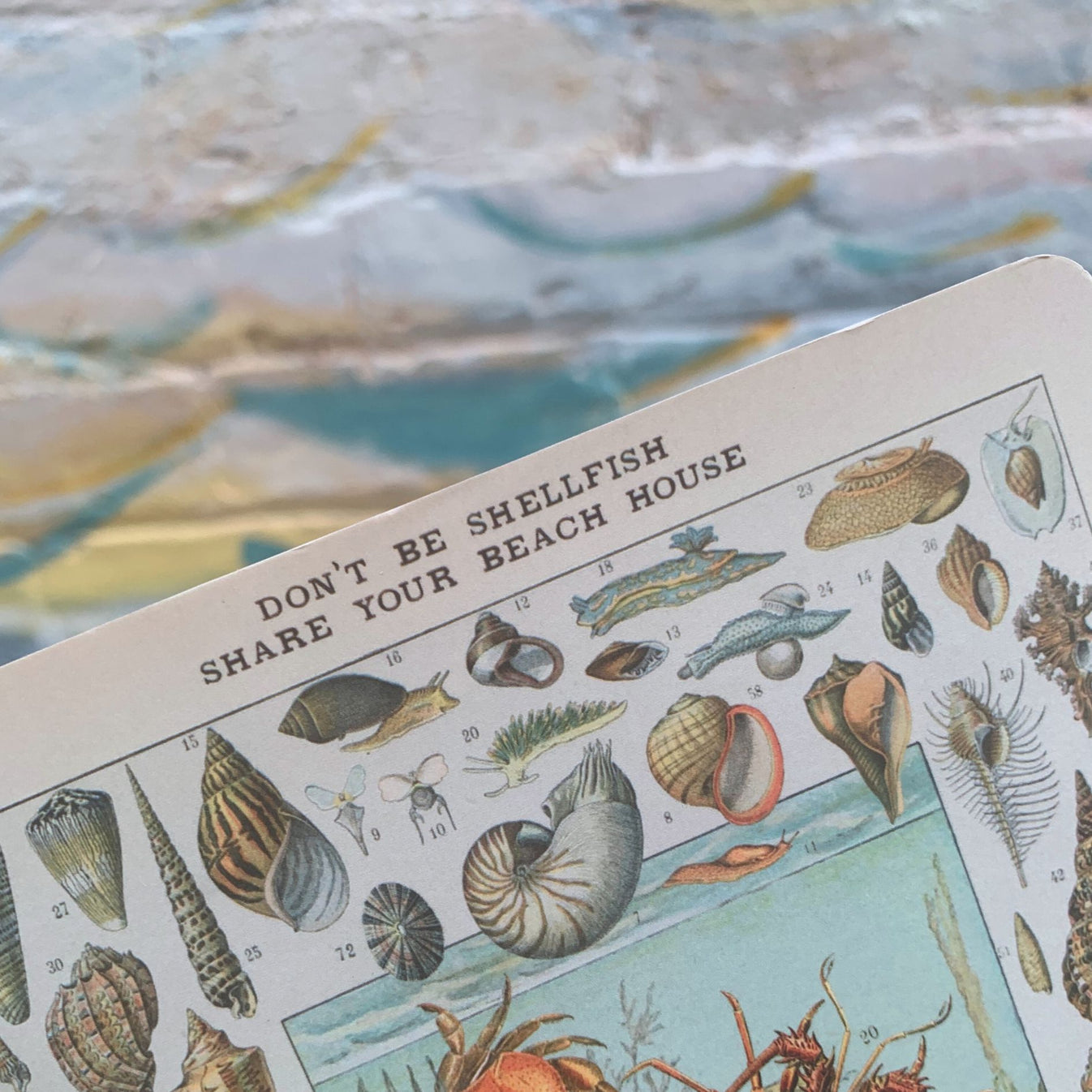 Don't Be Shellfish Double-sided Journal | 160 Lined Pages Notebook – The Bullish Store