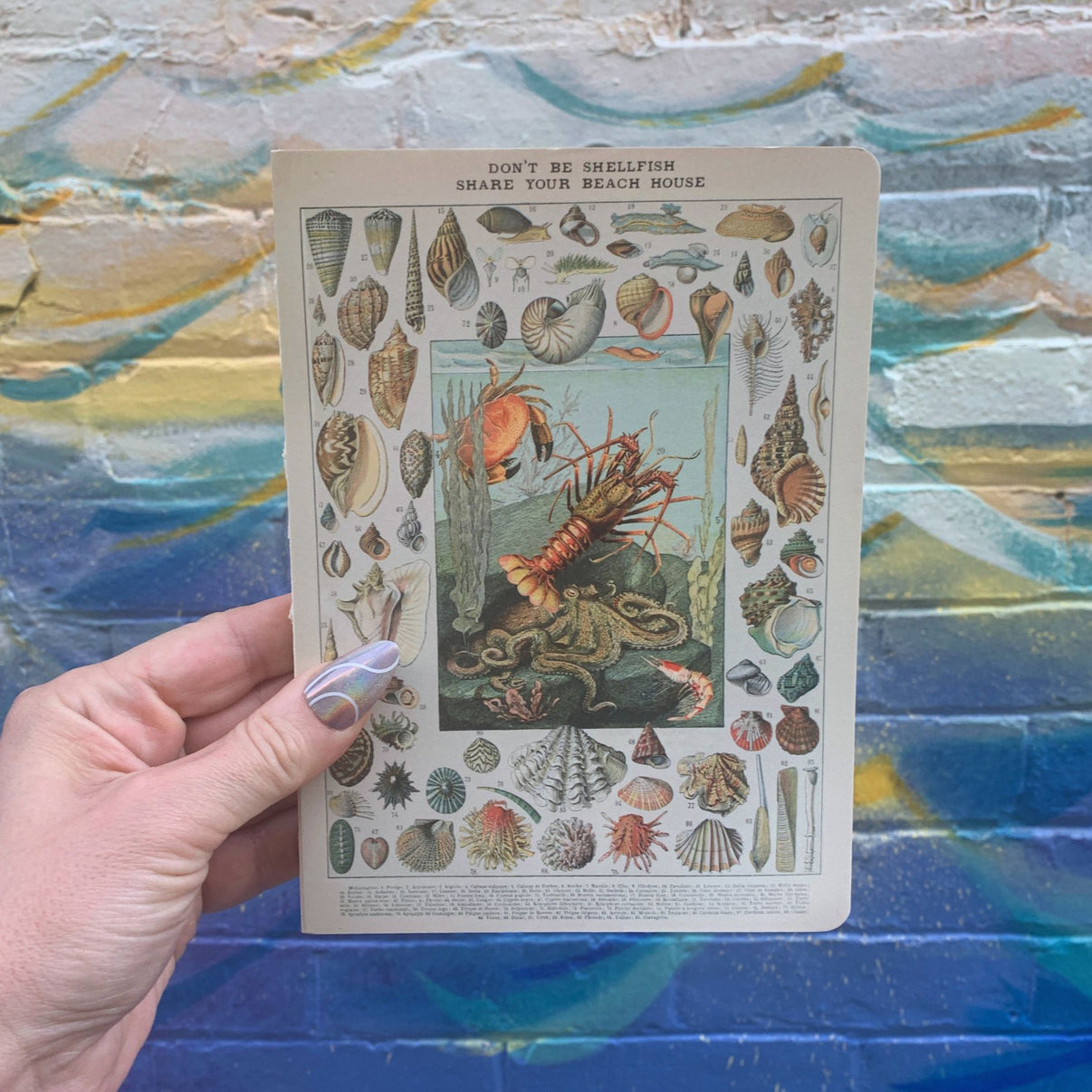 Don't Be Shellfish Double-sided Journal | 160 Lined Pages Notebook – The Bullish Store