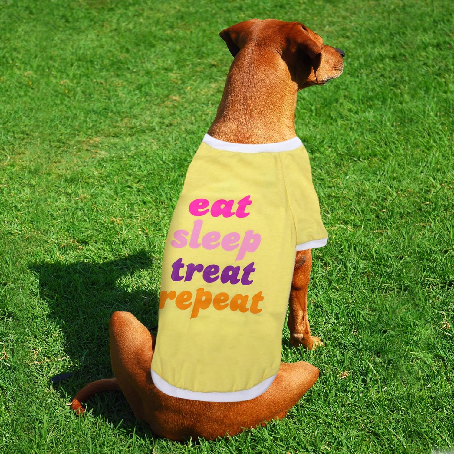 Eat Sleep Treat Repeat LaurDIY Pet Tee in Yellow [Available in SM-L ...