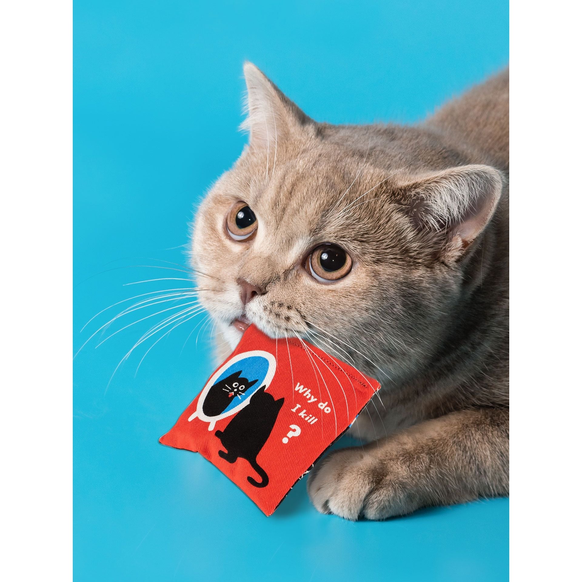 Cat Lovers | Cat Lady Gifts | Funny Catnip Toys | Cat Themed Pins, Soc ...