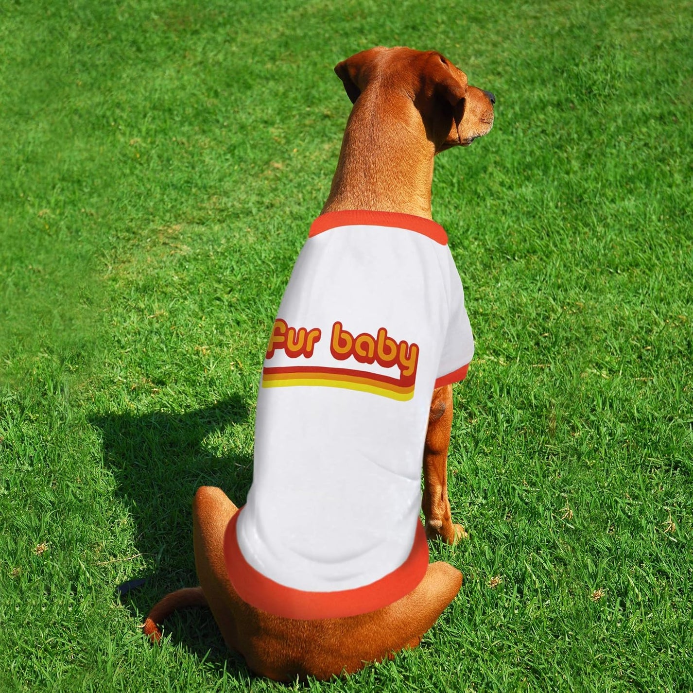 Fur Baby LaurDIY Pet Tee in White [Available in SM-L] – The Bullish Store