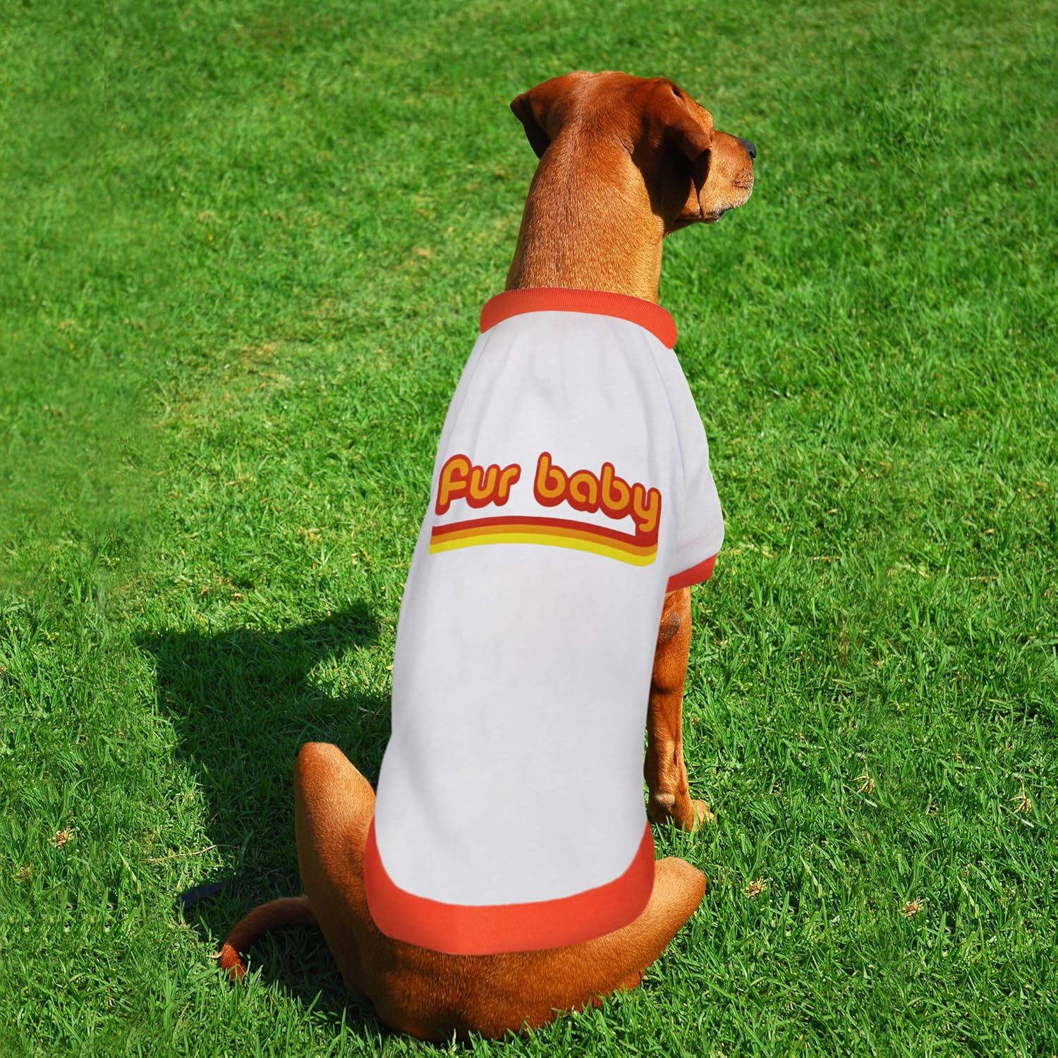 Fur Baby LaurDIY Pet Tee in White [Available in SM-L] – The Bullish Store