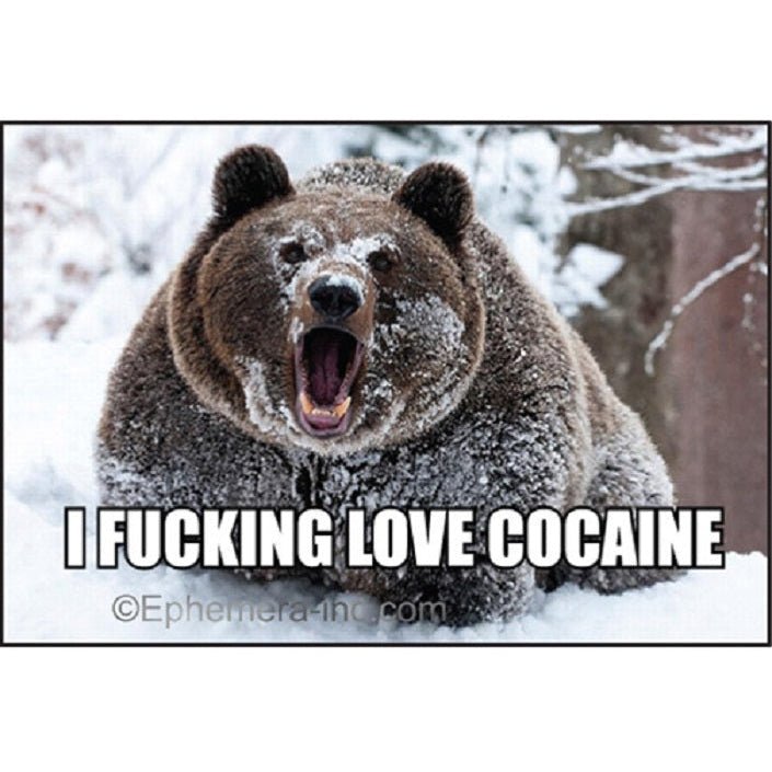 Bear Coke Memes Cocaine Bear Super Bear'd Meme Generator